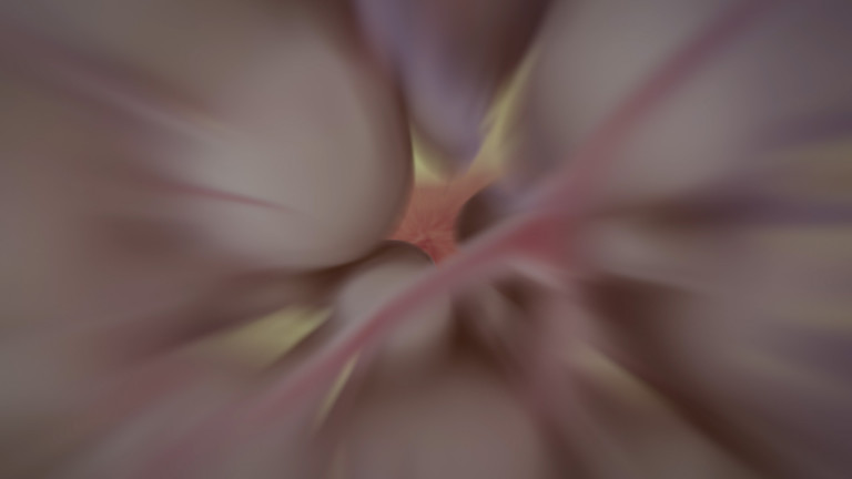 Boxing Match - Hatch Studios