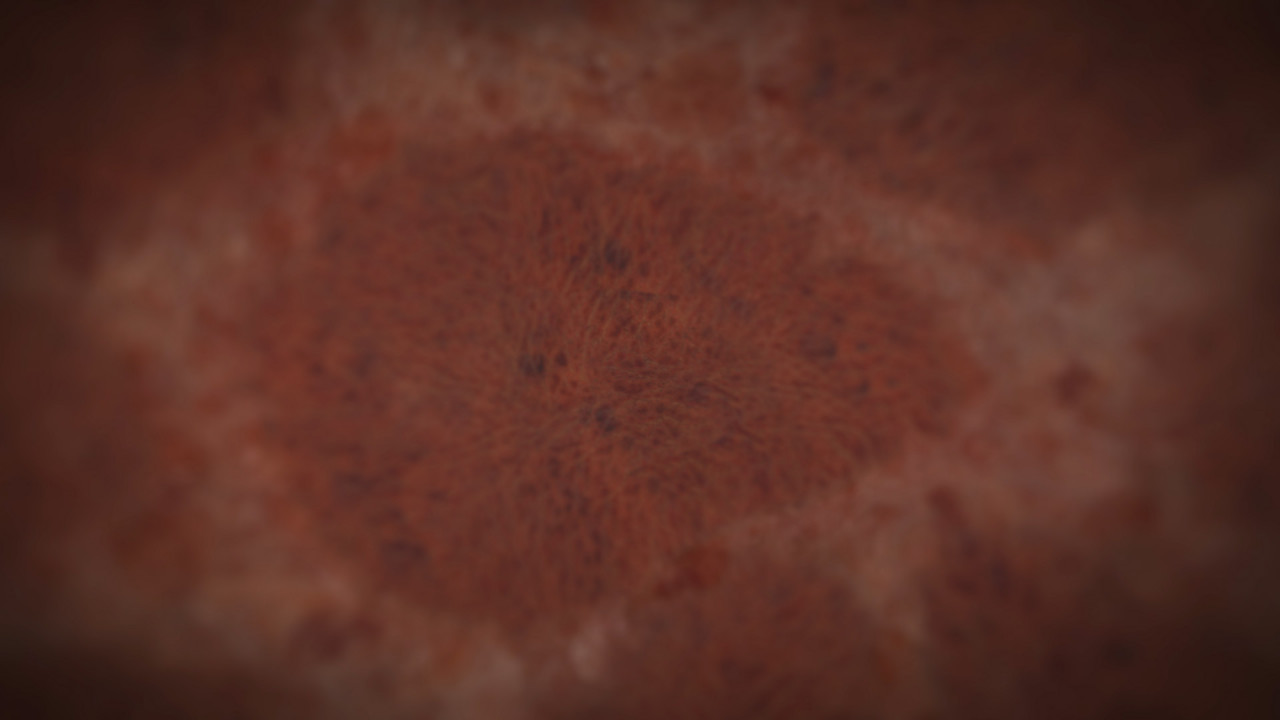 Boxing Match - Hatch Studios