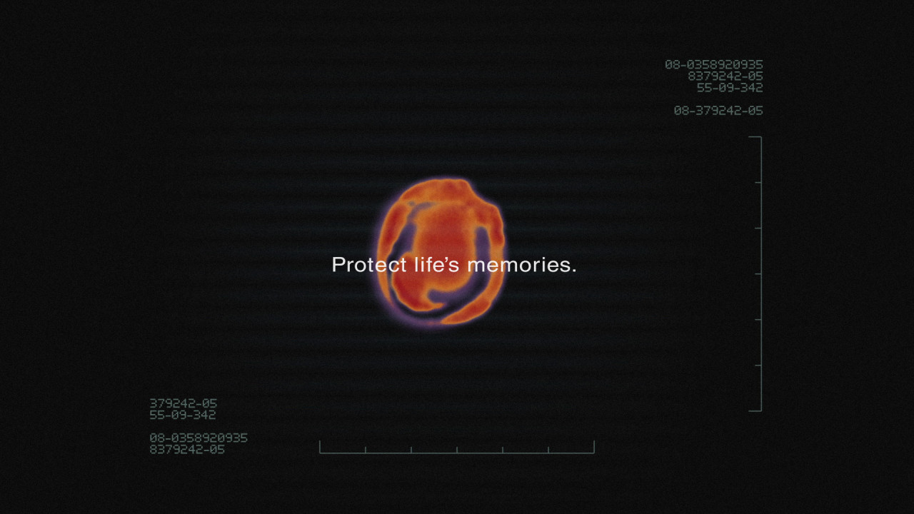 Brainscan - Hatch Studios