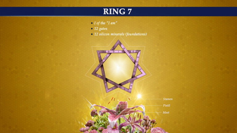 Angel Chart - Hatch Studios