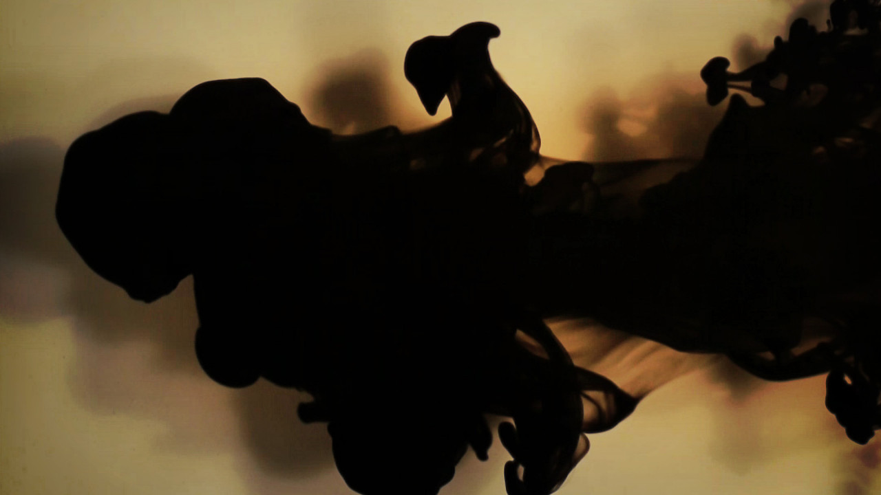 Fluid - Hatch Studios