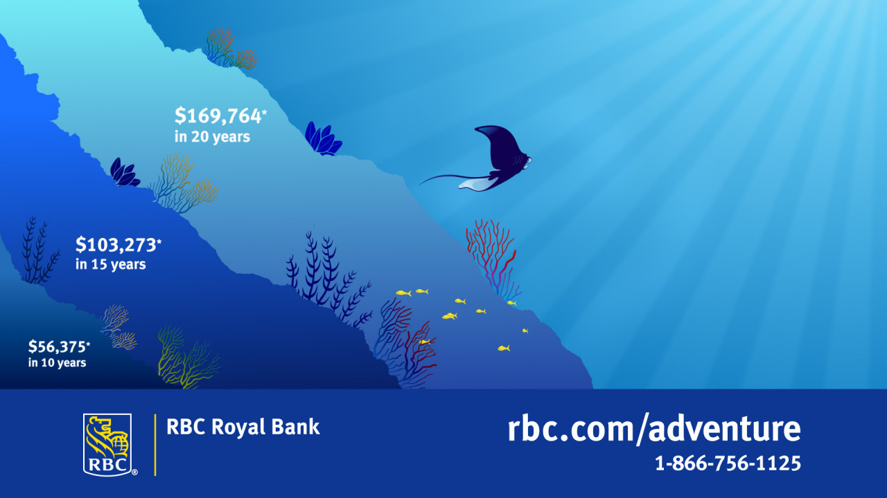 Scuba - Hatch Studios