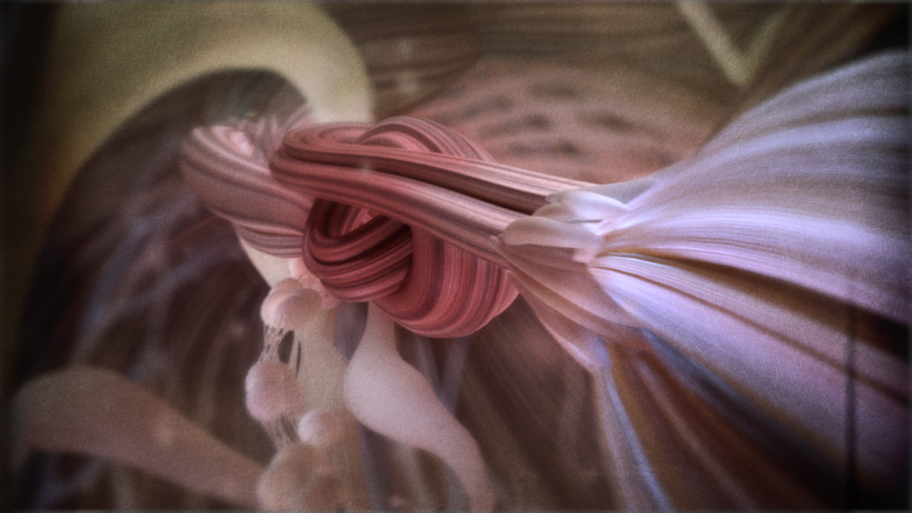 Rooftop - Hatch Studios